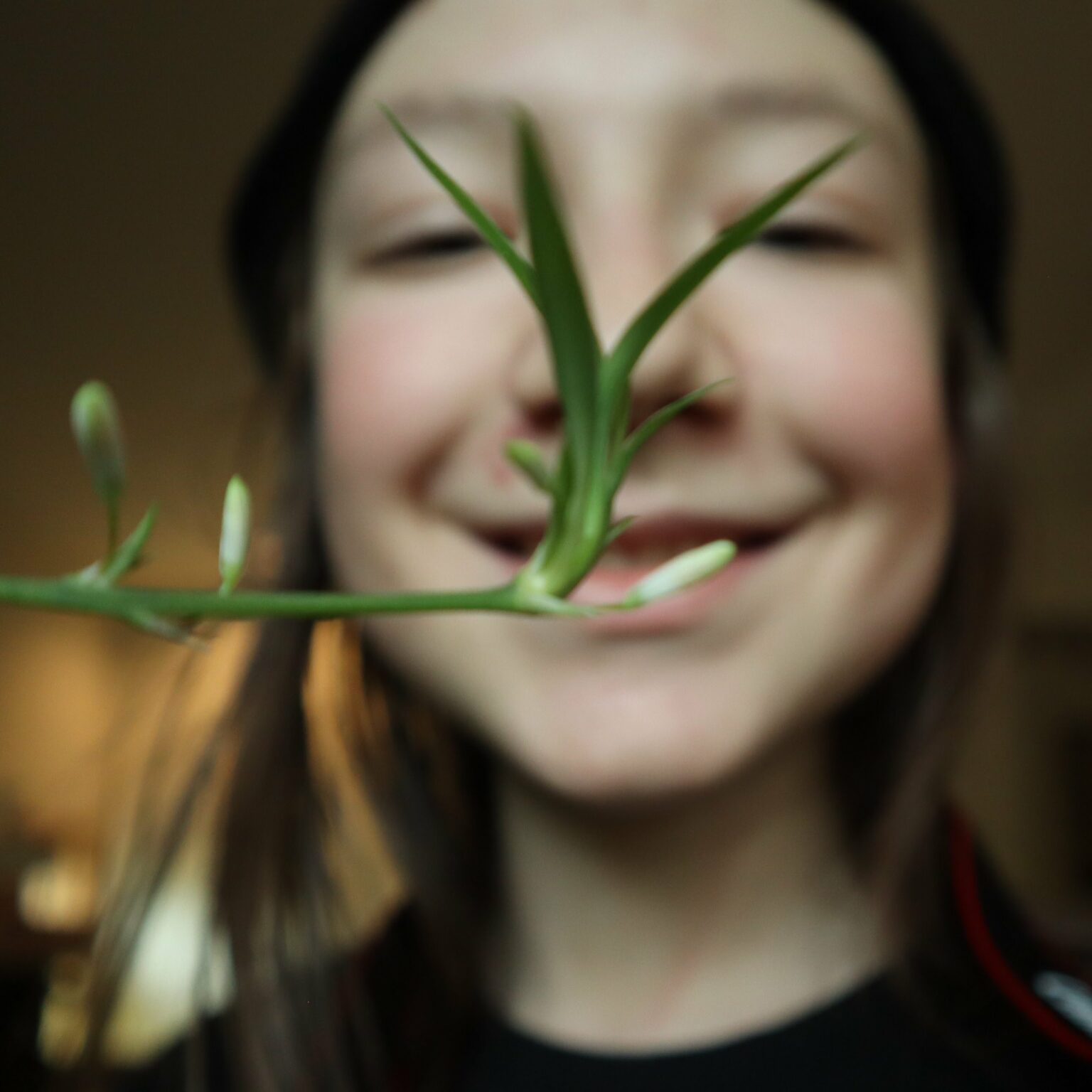 Oliver Fox-Rubin - NYRA